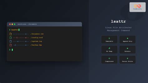 Getfacl Command Linux Complete Guide To File Access Control Lists Management Codelucky