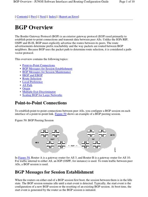 Bgp Overview1 Pdf Router Computing Routing
