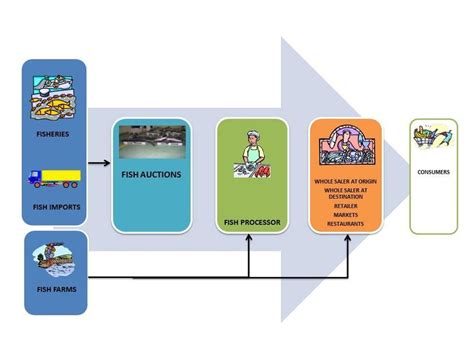 1 Fish Value Chain For Fresh Fish Download Scientific Diagram