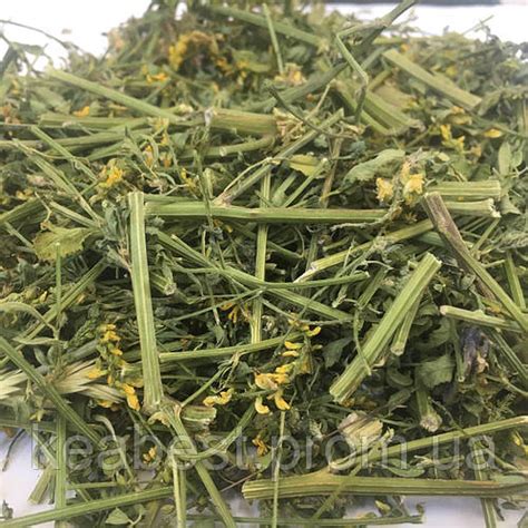 Донник (буркун желтый) лекарственная трава 50 гр (ID#1538770546), цена ...