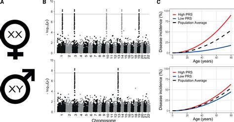 Genetic Molecular And Cellular Determinants Of Sex Specific