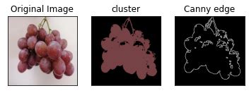 GitHub nhatminh it fruits classification Phân biệt các loại trái cây dựa trên hình ảnh sử