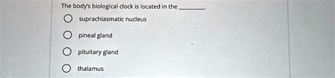 The Bodys Biological Clock Is Located In The Suprachiasmatic Nucleus