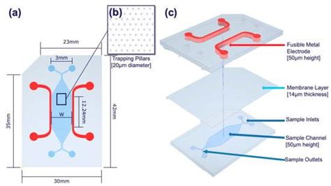 Dielectrophoretic Microfluidic Designs For Precision Cell Enrichments And… Cytorecovery Inc
