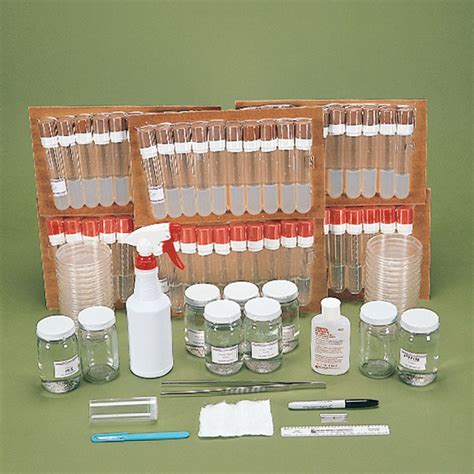 Miniature Rose Micropropagation Class Kit With Voucher Carolina