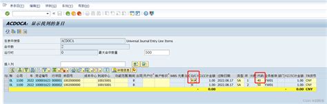 Sap 反记账 Acdoca表特殊点 Csdn博客