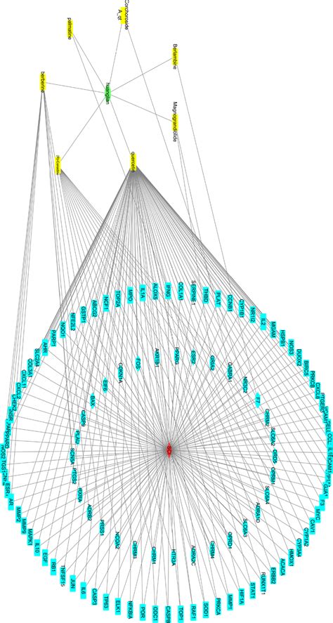 Compound‐target Interaction Network Download Scientific Diagram