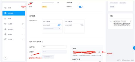 unity接入声网的sdk unity接声网sdk csdn博客