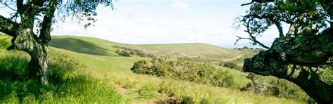 City Of Santa Maria Home