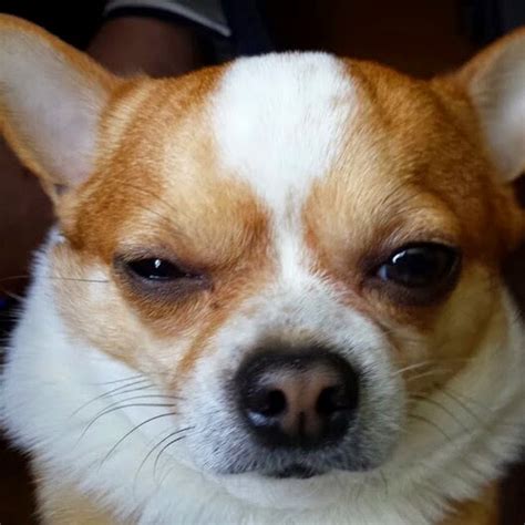 Stanisław Wiktorowicz Youtube