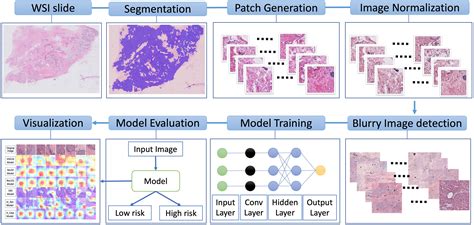 Classification Using Neural Networks