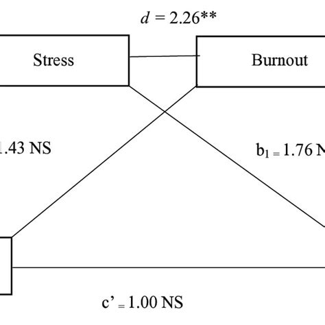 The Mediating Roles Of Stress And Burnout In The Relationship Between