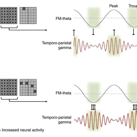 Dynamic Coupling And Decoupling Of Fronto Parietal Brain Networks By