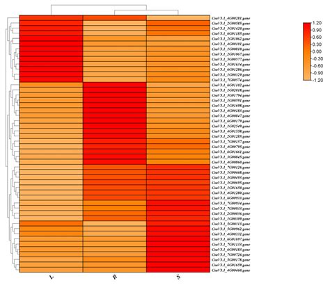 Updated Gene Prediction Of Cucumber Genome Through Manual Annotation V1