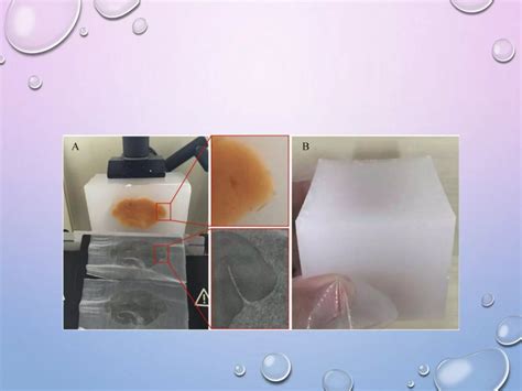 Tissue Processing Pptx Chemistry Science