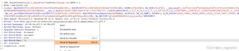 burpsuite——repeater burpsuite repeater发送没反应 csdn博客