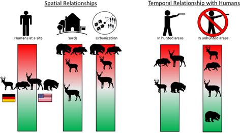 Infographic Showing Main Spatial And Temporal Relationships With Humans