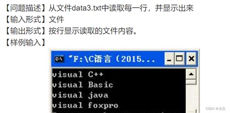 Gdpu C语言 天码行空12 指针进阶与文件程序设计gdpu天码行空 Csdn博客