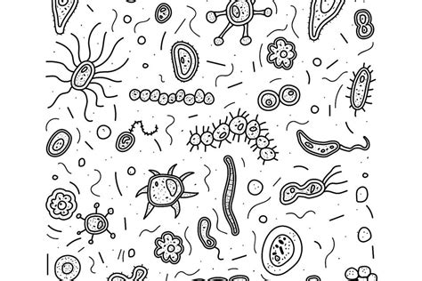 Bacteria Coloring Worksheet Sketch Coloring Page