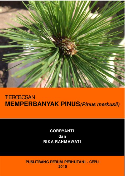 Pdf Memperbanyak Pinuspinus Merkusii