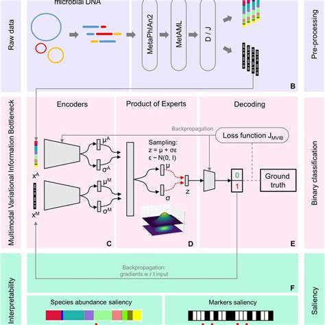 Full Workflow A The Raw Data I E Shotgun Metagenomic Sequencing Download Scientific