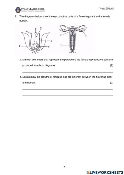 P5 Human Repro Free Interactive Worksheets 1569090
