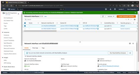 how to allocate multiple ip address to aws ec2 virtual machine