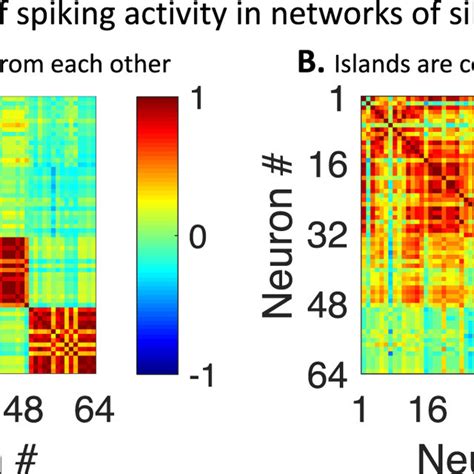 Injection Of Noise Into A Network Of Spiking Neurons A Network Of 16
