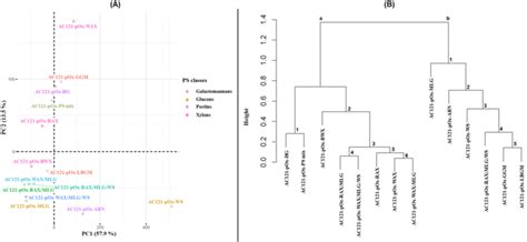 A Principal Component Analysis Pca Biplot And B Hierarchical