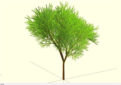 Truly Recursive And Random Tree Not Just Pseudo Recursive By Roman