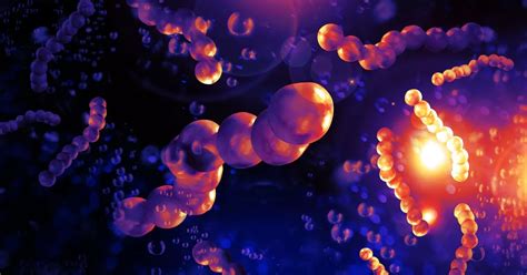 Strep A Symptoms To Watch For How Disease Is Spread And Ways To Prevent Infection Rsvp Live