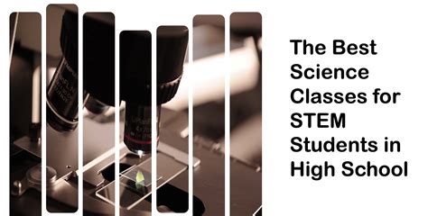 The Best Science Classes For Stem Students In High School Hellocollege