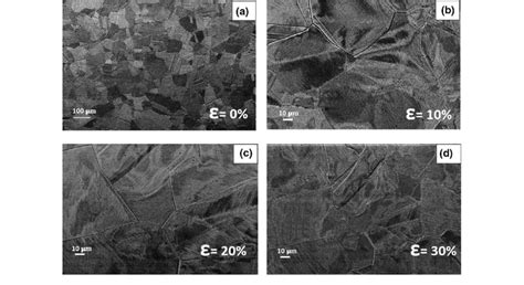 Sem Micrographs For The Fecr 18 2 Mn 18 9 0 96c N Alloy With Strains