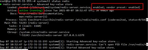 How To Set Up Redis On Your Server CloudPages
