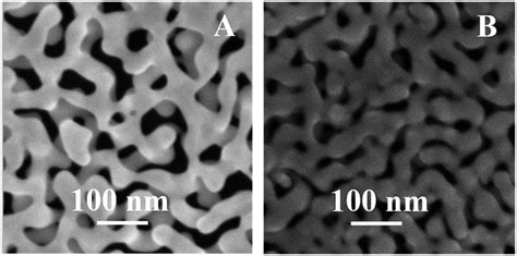 A Novel Sensitive And Selective Electrochemical Sensor Based On