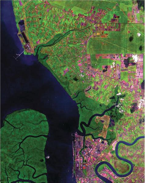 Gis And Remote Sensing For Mangroves Mapping And Monitoring Intechopen