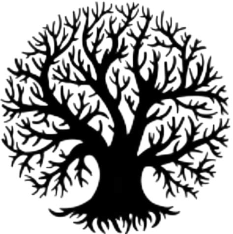 Целебные грибы