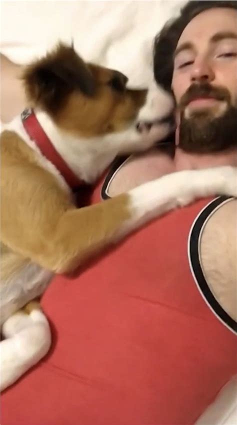 Pin By Nick On Famous Chris Evans Chris Evans Shirtless Christopher
