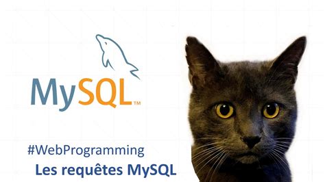 les requêtes avec mysql en 12 min programmation web 8 youtube
