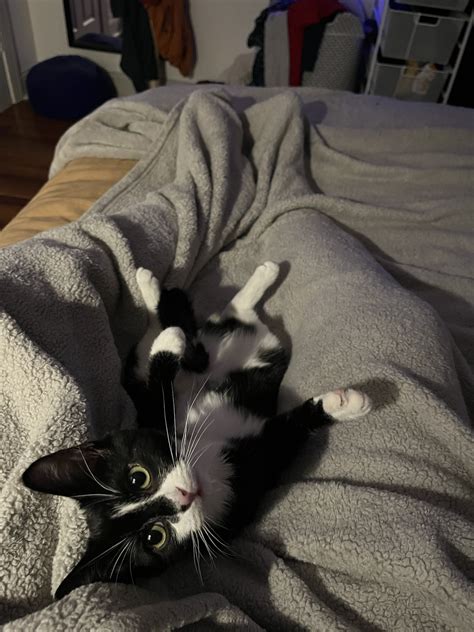 Interview Today Album On Imgur