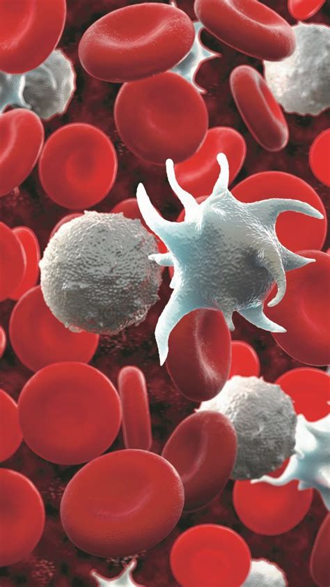 New Viscoelastic Tests Designed To “improve Precision Reduce The