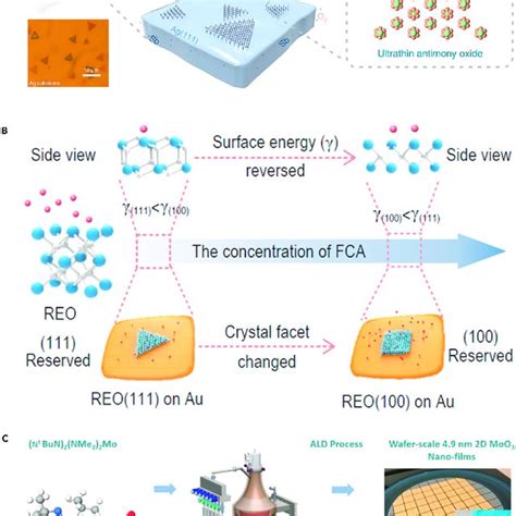 Bottom Up Synthesis Template Assisted Synthesis Of 2d Moxs A The Download Scientific Diagram