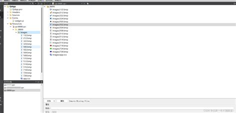 25 资源文件的使用图片转为qrc Codebuug