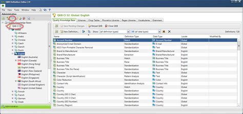 Sas Quality Knowledge Base Qkb Customization Tools Available For