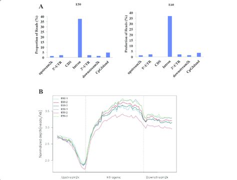 Distribution Of Unique Mapped Reads In Different Genomic Regions A The