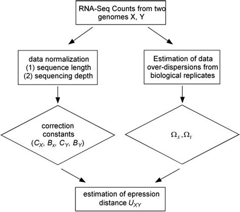 —flow Chart For Illustrating The Statistical Procedure Of Expression Download Scientific