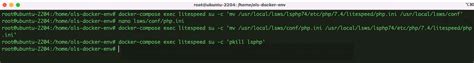 How To Change Php Ini Parameters On OpenLiteSpeed Using Docker Compose