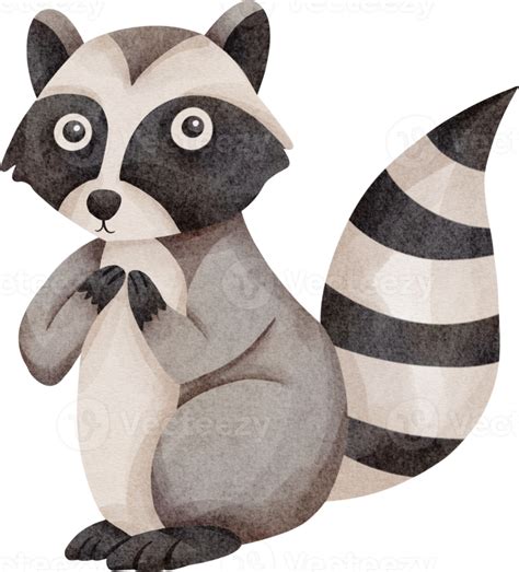 Watercolor Raccoon Cute Clip Art 16533224 Png