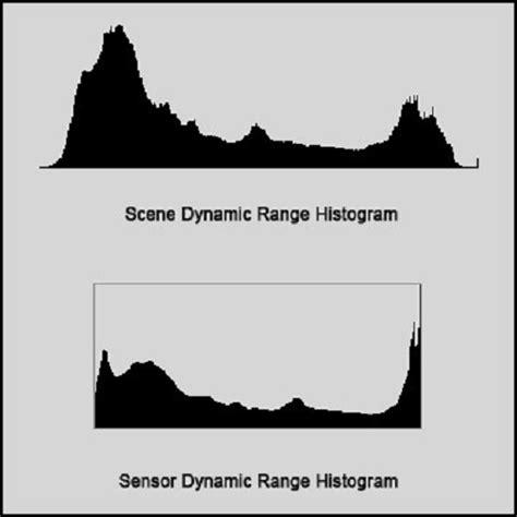 Which Dynamic Range Siege At Arthur Lawrence Blog
