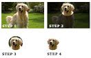 Opencv Objects Extraction From An Image Using Python Stack Overflow